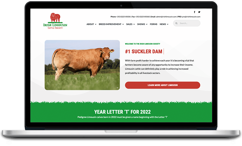 Irish Limousin Society - Ten10